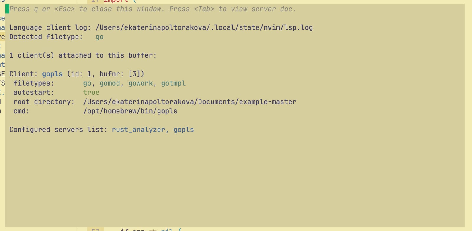 The Complete NeoVim Configuration Guide for Developers - Part 1